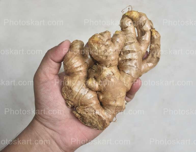 Ginger Holding On A Left Hand